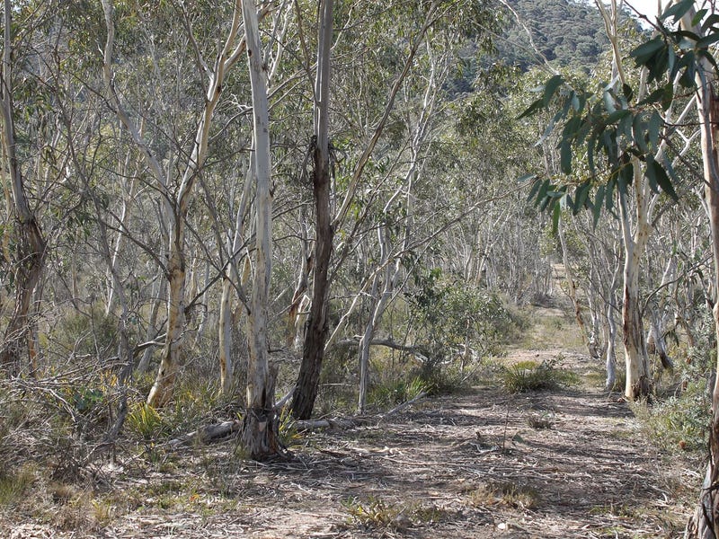 398 Wyanbene Road, WYANBENE, Braidwood, NSW 2622 - Property Details