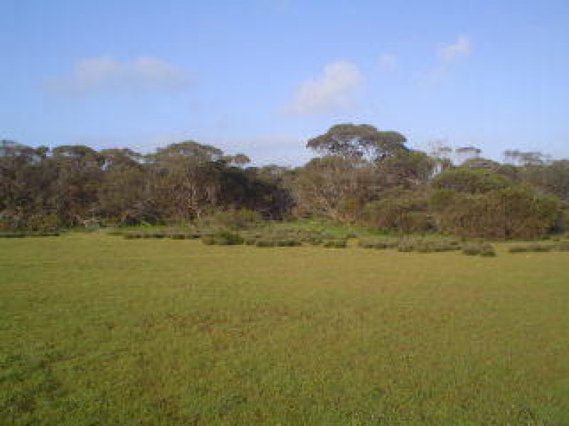 Sect 41 Lincoln Highway, Bramfield, SA 5670 - Property Details