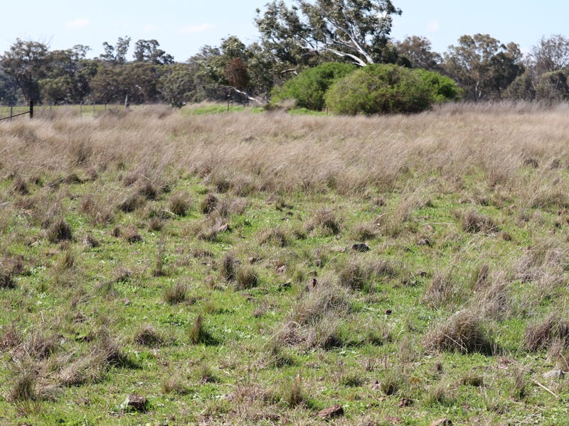 Sold Property Prices & Auction Results in Dunedoo, NSW 2844 ...