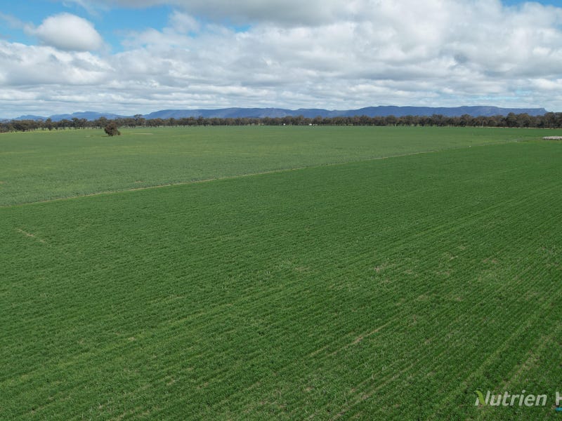. Stawell-Warracknabeal Road, Glenorchy, Vic 3385 - Cropping for Sale ...