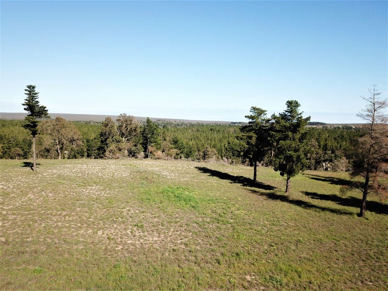 Lot 206 Nabaroo Road, Cowalla, WA 6503 - Property Details