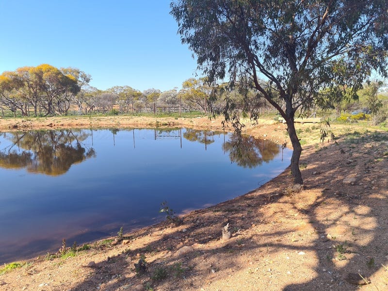 Lake Barlee Station, Sandstone, WA 6639 - Property Details