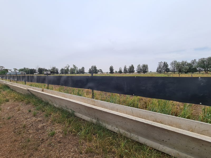 832 The Bogan Way, Forbes, NSW 2871 - realestate.com.au