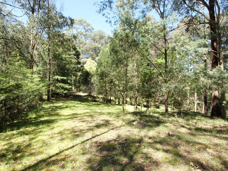 11 Fisherman Drive, Reefton, VIC 3799 - realestate.com.au
