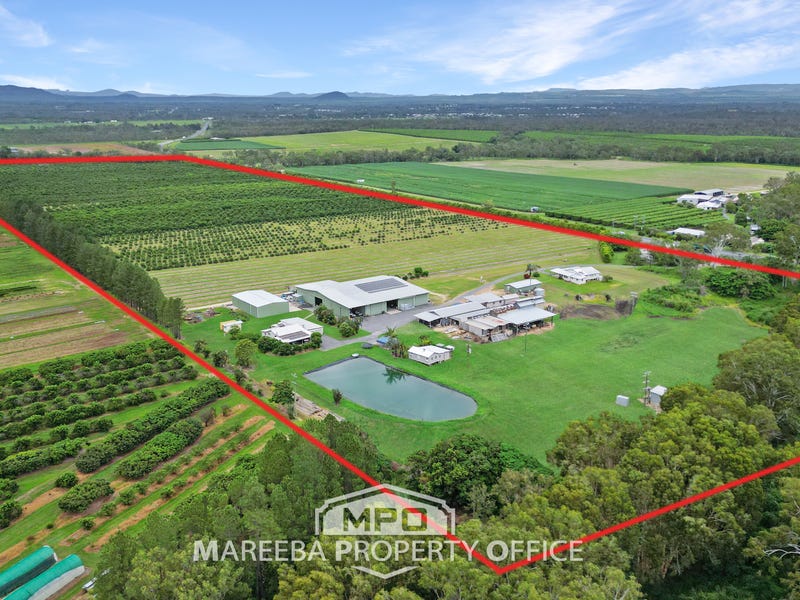 4283 Kennedy Highway, Mareeba, Qld 4880 - Horticulture for Sale ...