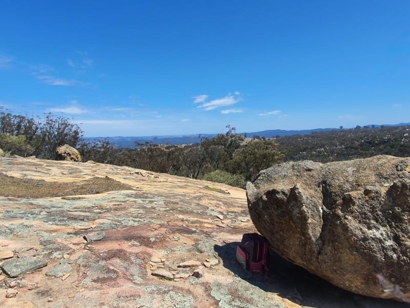 1330 Mount Mckenzie Road, Tenterfield, NSW 2372 - realestate.com.au