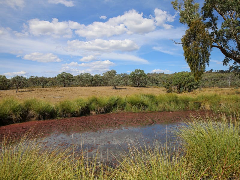 120 & 121, 590 Prices Lane, Pyramul, NSW 2850 - Lifestyle for Sale ...