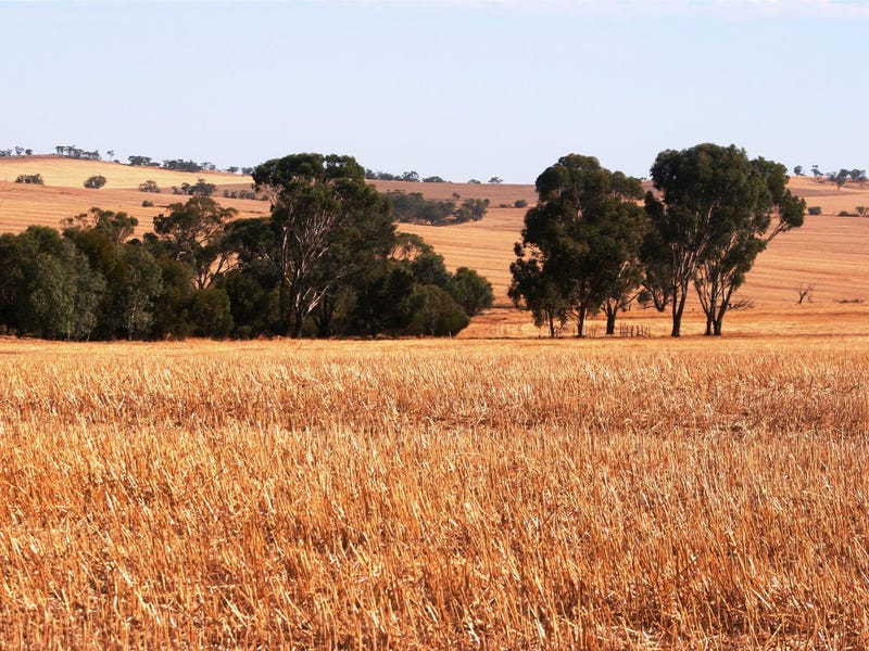 1400 Northam-Pithara Road, Jennapullin, WA 6401 - Property Details