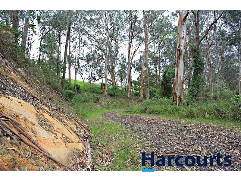 1717 Main Neerim Road, Neerim South, VIC 3831 - realestate.com.au