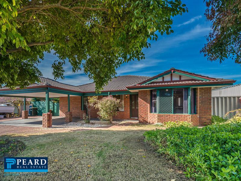 8 Arabella Mews, Currambine, WA 6028 - realestate.com.au