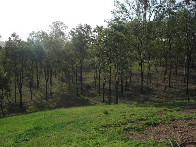 Property 7178356, Harlin, Qld 4314 - Property Details