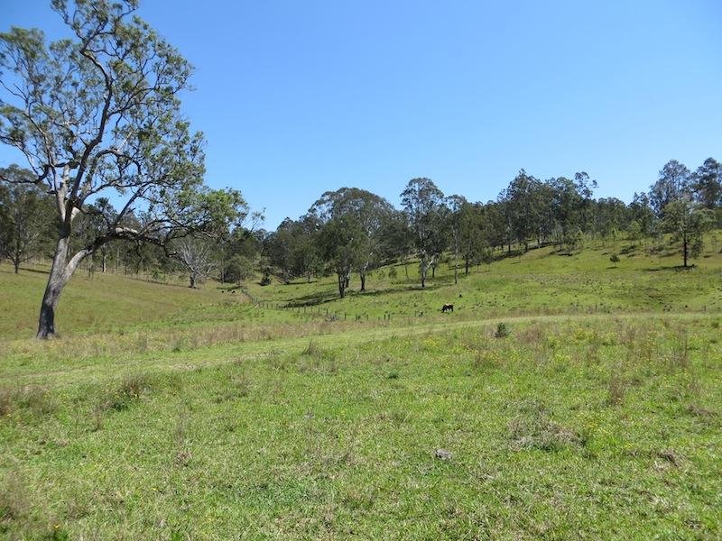 Property 7685167, Bonalbo, NSW 2469 - Property Details