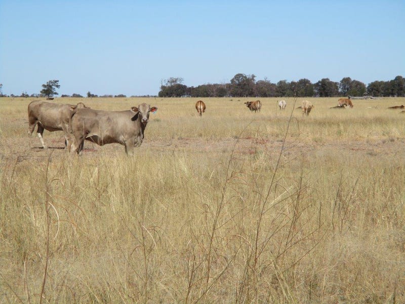 613 ACRES CLOSE TO TOWN, Tara, Qld 4421 - Property Details
