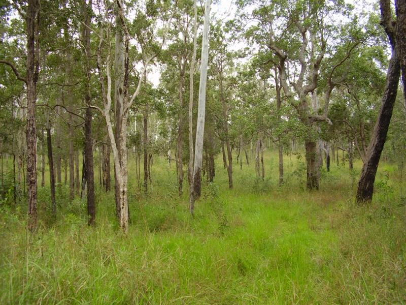 Property 7263988, Rosedale, Qld 4674 - Property Details