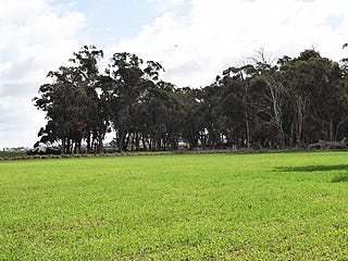 115 Turnbull Road, Ardmona, Vic 3629 - Property Details