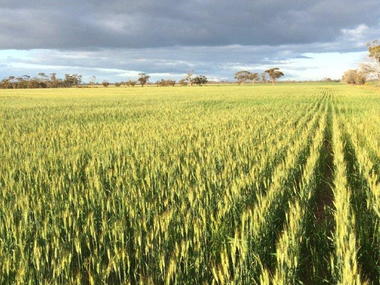 Property 7716199, Bodallin, WA 6424 - Property Details