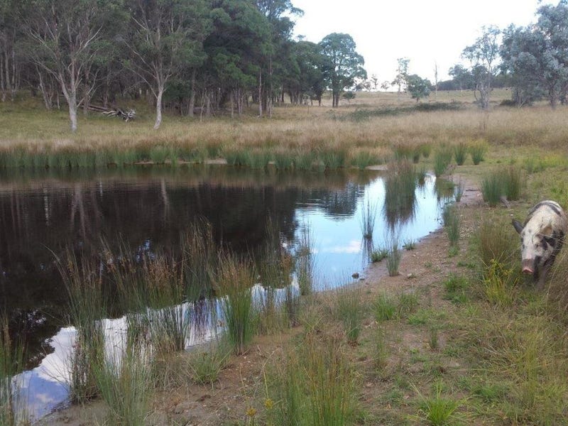 500 Dyamberin Road, Wongwibinda, NSW 2350 - Property Details