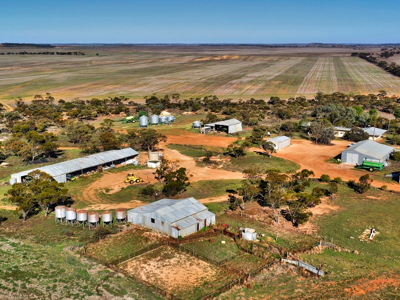 Mindarie Downs 602 McCabe Road, Wanbi, SA 5310 - Property Details