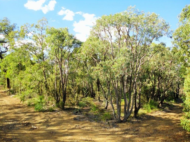 855 Mcknoe Drive, Morangup, WA 6083 - realestate.com.au