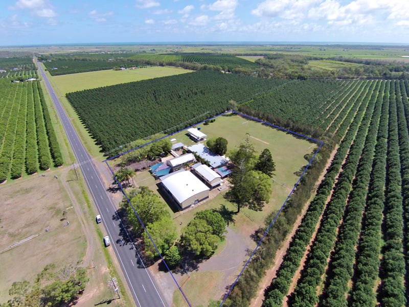 669 Moore Park Road, Welcome Creek, QLD 4670 - realestate.com.au