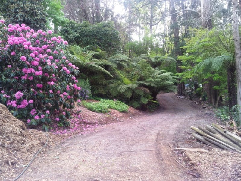 Property 115783047, Sassafras, Vic 3787 - Property Details