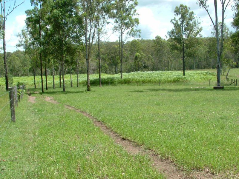 Property 7278954, Gundiah, Qld 4650 - Property Details