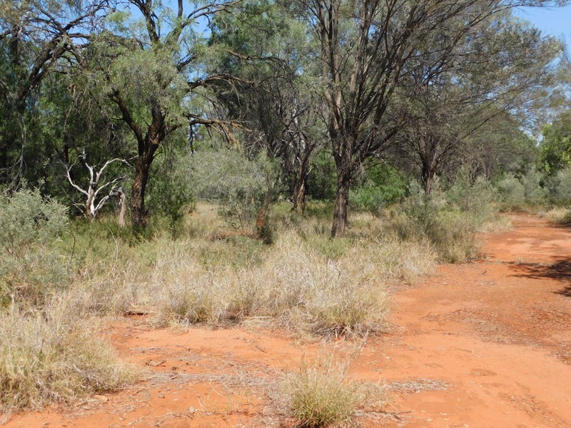Land for Sale in Augathella, QLD 4477 - realestate.com.au