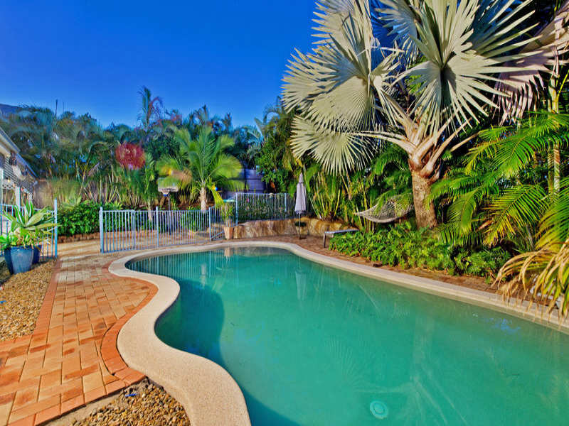 12 Waigeo Street, Pacific Pines, QLD 4211 - realestate.com.au