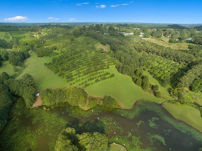 1555 Dunoon Road, Dunoon, NSW 2480 - realestate.com.au