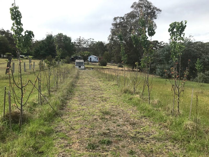 8 Gorge Road, Nowa Nowa, VIC 3887 - realestate.com.au