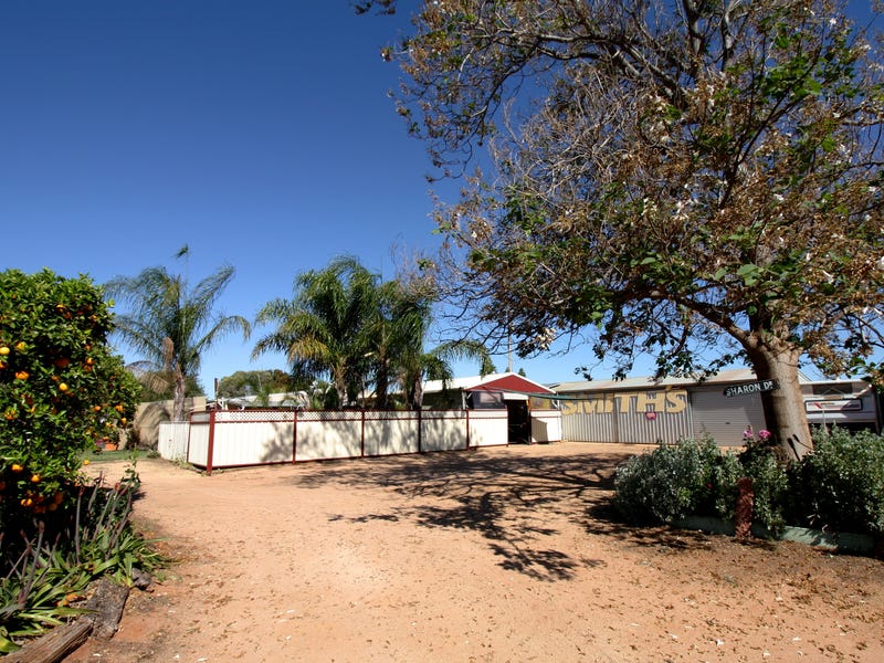 88 Davidson Road, Barmera, SA 5345 - realestate.com.au
