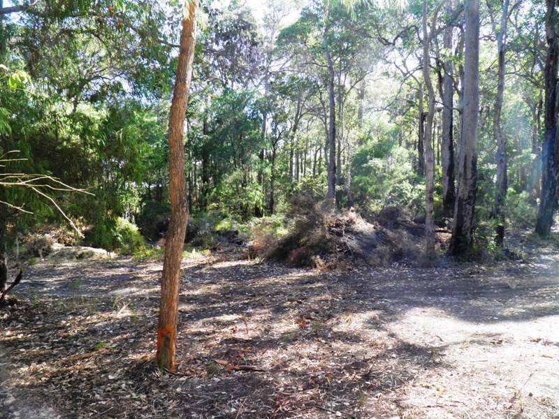 88 Inlet Drive, Denmark, WA 6333 - realestate.com.au