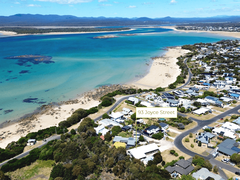 93 Joyce Street, Hawley Beach, TAS 7307 - realestate.com.au