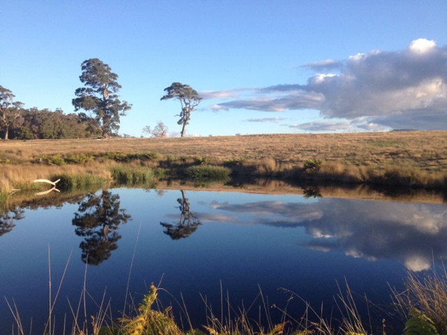 Greens Beach Road, Beaconsfield, Tas 7270 - Property Details