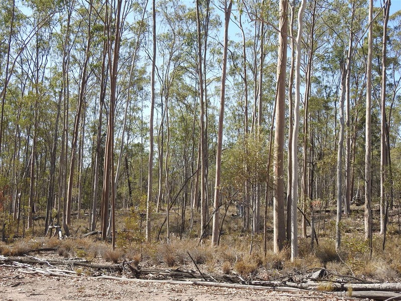 Property 700062266, Kogan, Qld 4406 - Property Details