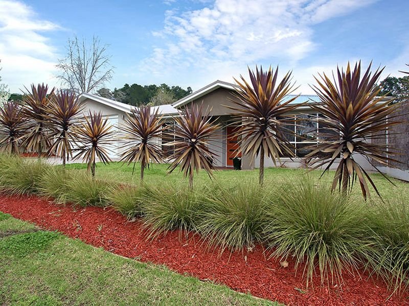 8 Richards Road, Montrose, VIC 3765 - realestate.com.au