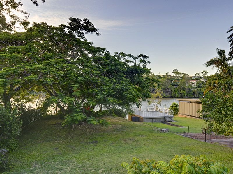 427 Brisbane Corso, Yeronga, QLD 4104 - realestate.com.au