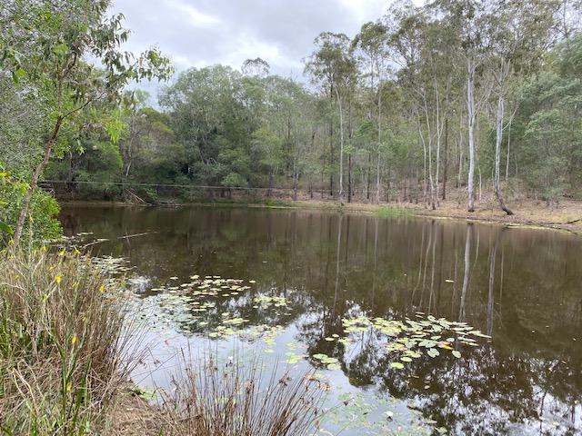 52 Tram Road, Gundiah, Qld 4650 - Property Details
