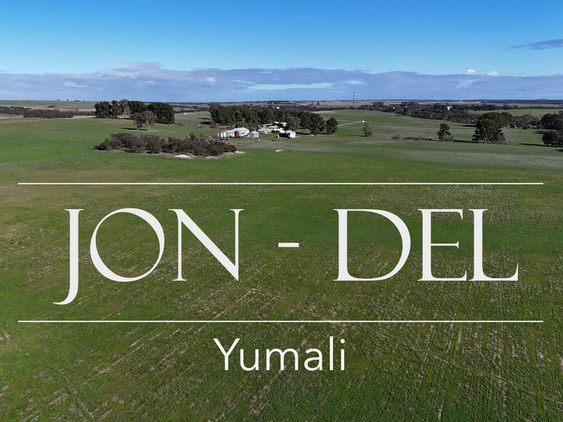 2221 Tynan Road, Yumali, SA 5261 - Cropping for Sale - realestate.com.au