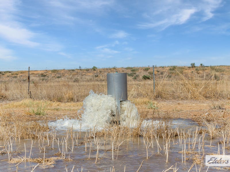 4097 Dingee-Rochester Road, Dingee, Vic 3571 - Property Details