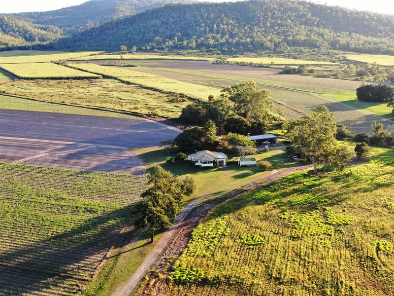 25 Ferris Road, Calen, QLD 4798 - realestate.com.au