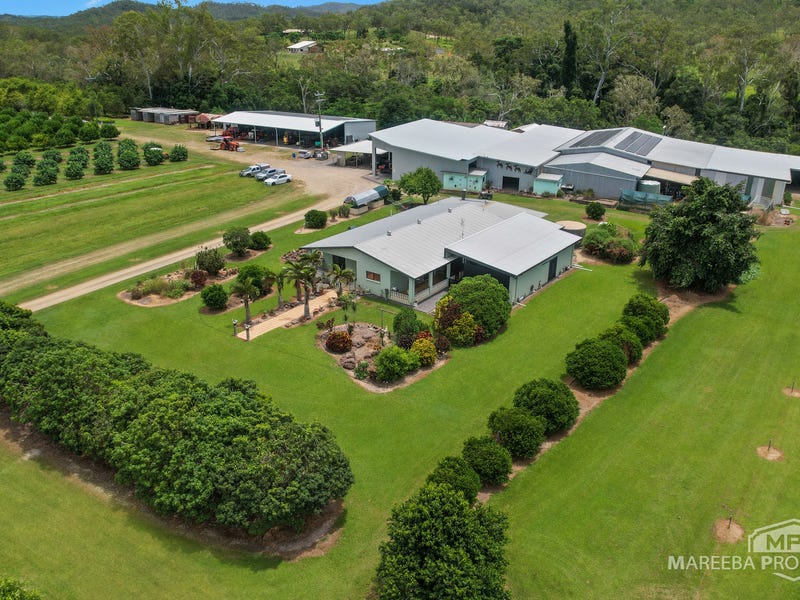 Real Estate & Property for Sale in Cairns - Greater Region, QLD (+4 ...