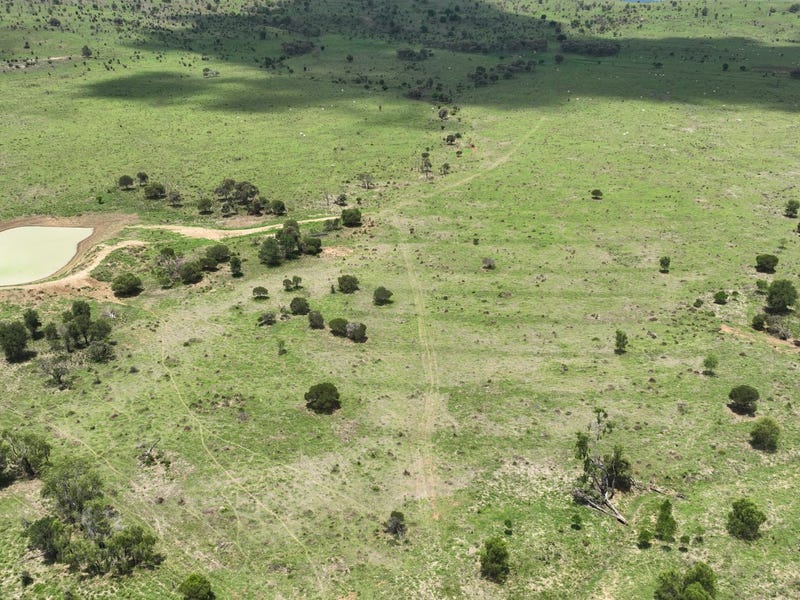 251 Ziebarths Road, Prospect, Qld 4715 - Livestock for Sale ...