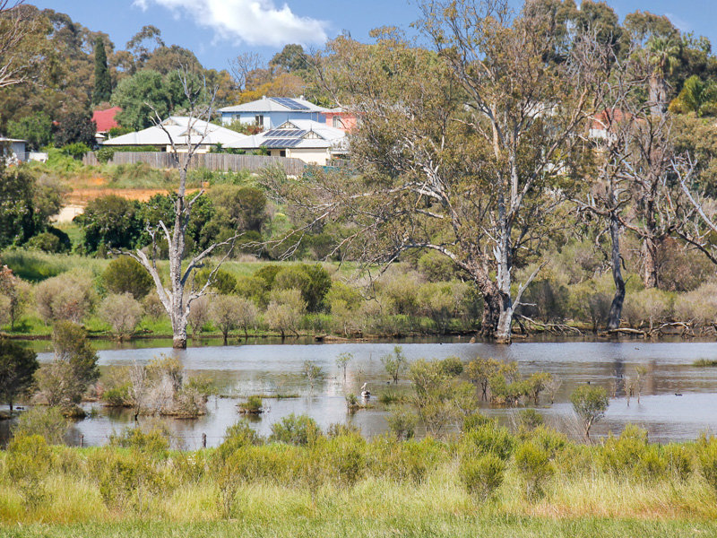 28 Avon Cres, Viveash, WA 6056 - realestate.com.au