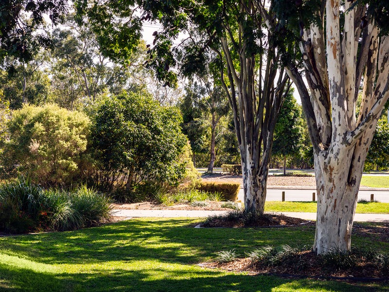 Arise at Rochedale Land Estate at 1 Phoenix Street - realestate.com.au