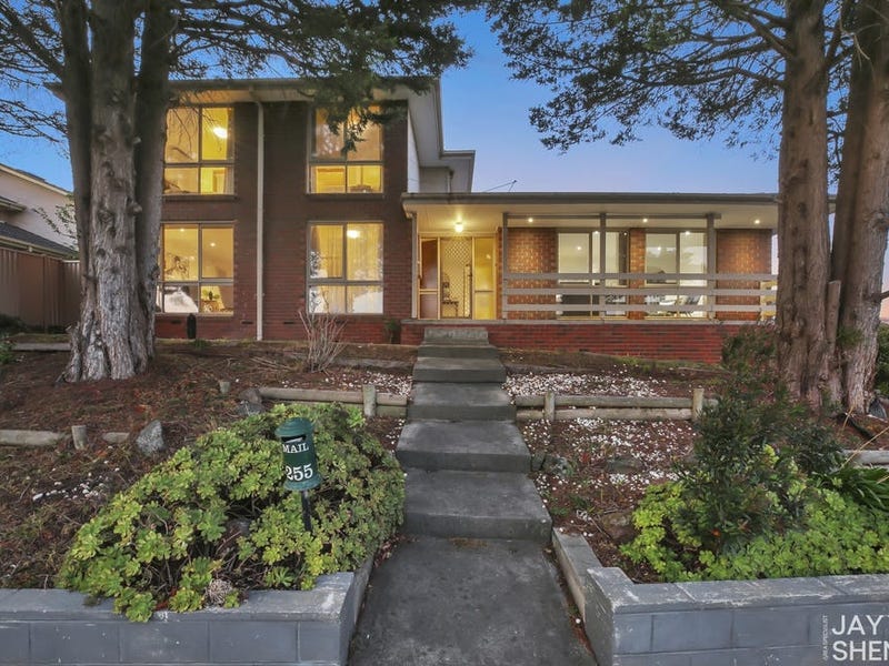 255 James Cook Drive, Endeavour Hills, VIC 3802 - realestate.com.au