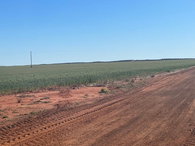 4778 Balla-Whelarra Road, Binnu, WA 6532 - Property Details