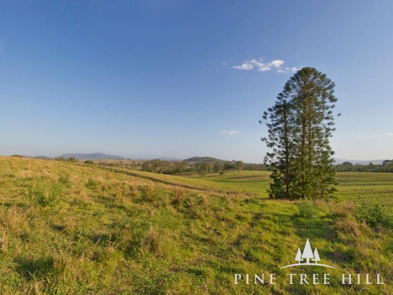 17 Pine Tree Drive, Winya, QLD 4515 - realestate.com.au