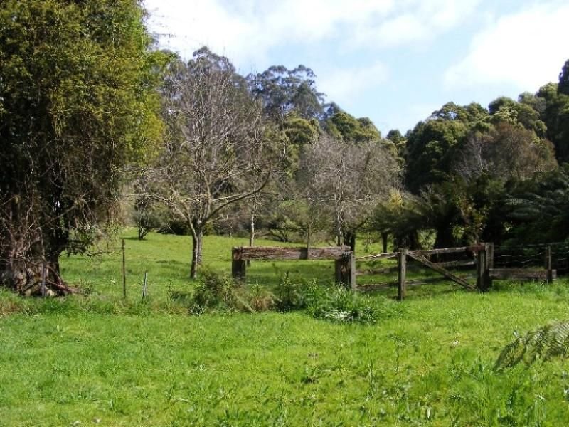 779 Barham River Road, Apollo Bay, VIC 3233 - realestate.com.au