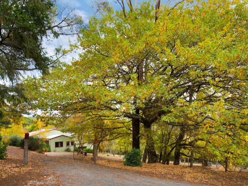 24 Patterson Street, Daylesford, Vic 3460 - Property Details